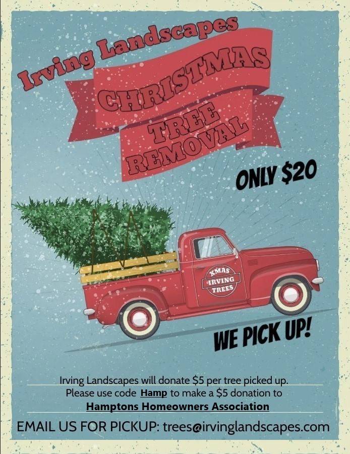 Christmas Tree Disposal – The Hamptons